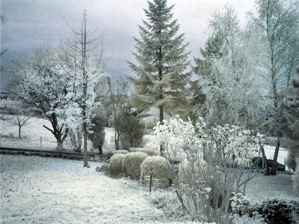 La photographie infrarouge - YANN PHILIPPE